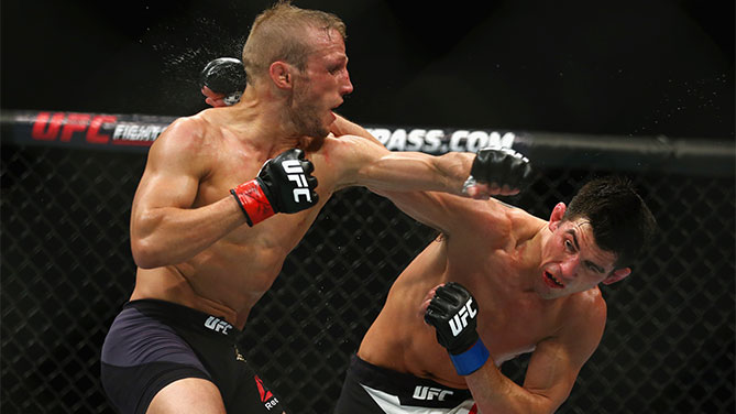 Brasileiros vencem, Dominick Cruz supera Dillashaw e recupera cinturão ...
